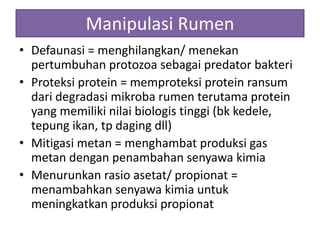 Mikroba rumen ruminansia | PPSX