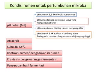 Mikroba rumen ruminansia | PPSX