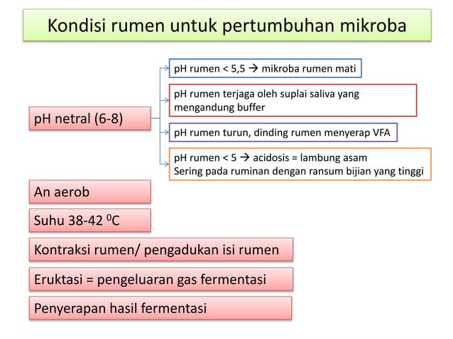 Mikroba rumen ruminansia | PPSX