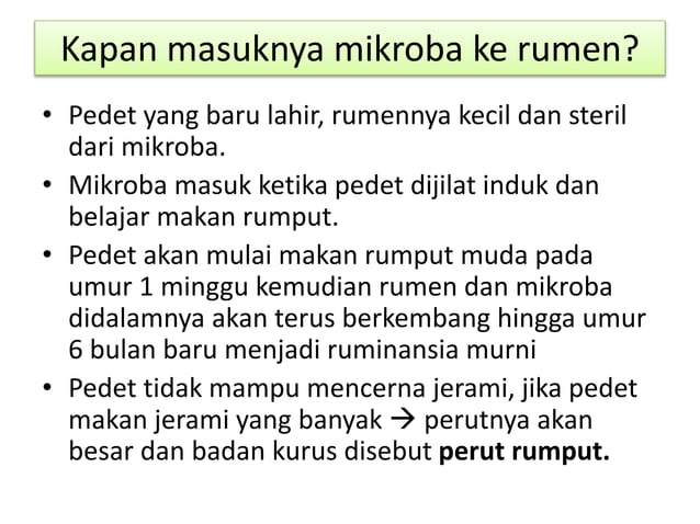 Mikroba rumen ruminansia | PPSX