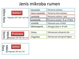 Mikroba rumen ruminansia | PPSX