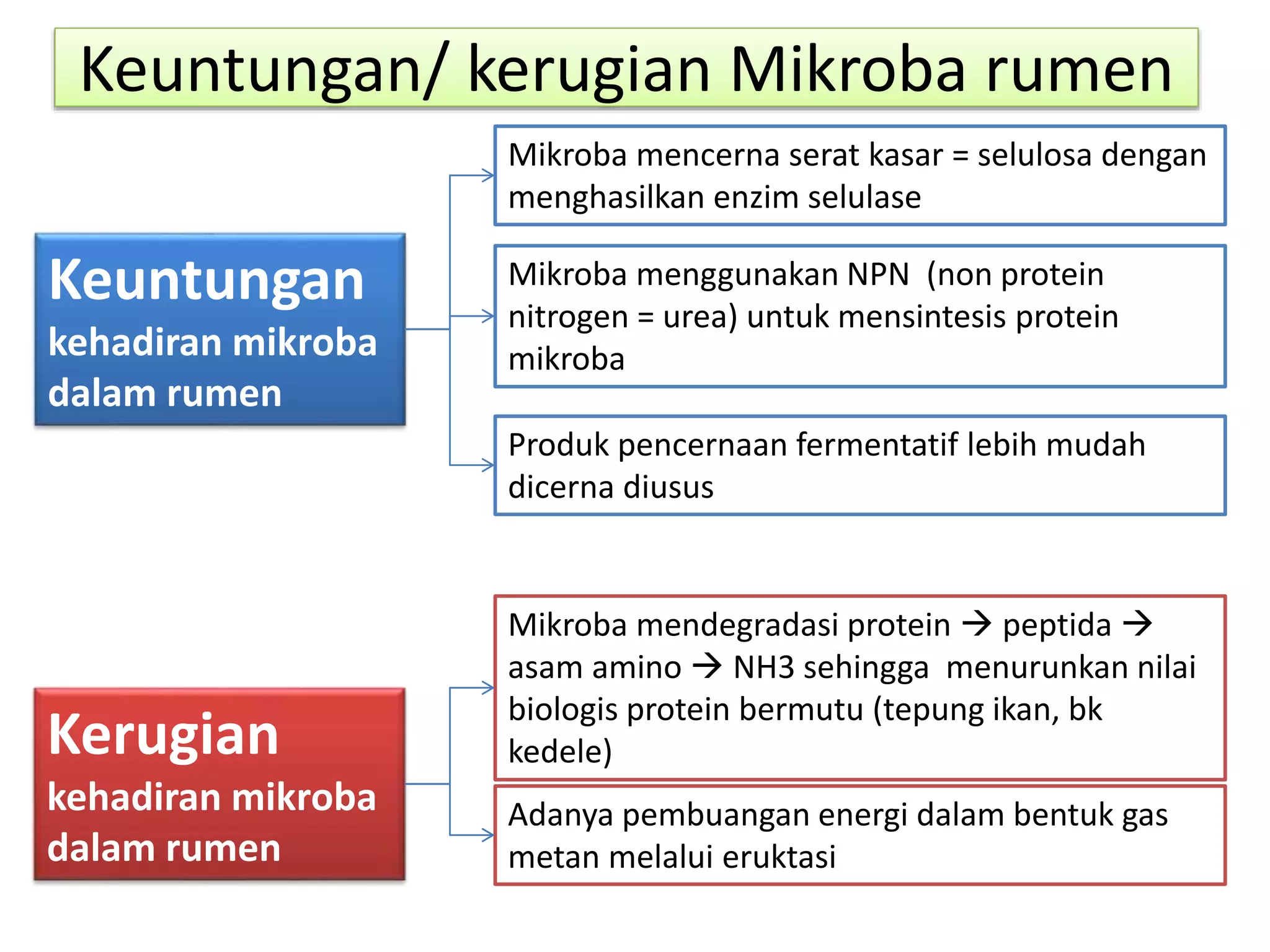 K_INT_MIKROBA RUMEN.pptx