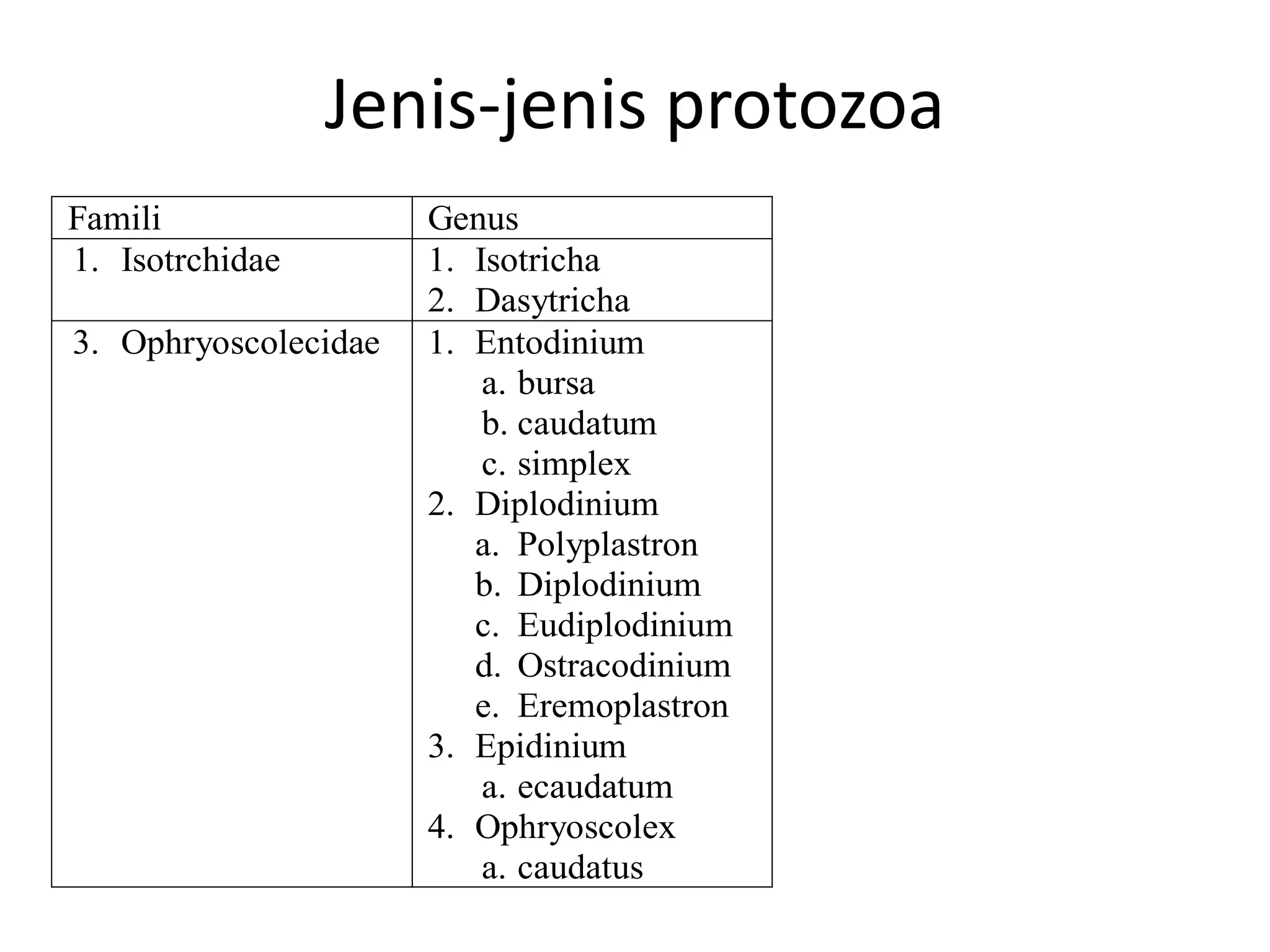 K_INT_MIKROBA RUMEN.pptx