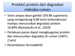 K_INT_MIKROBA RUMEN.pptx
