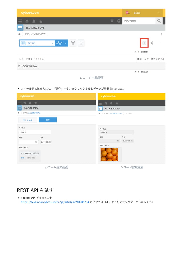 kintone REST API Handson 2017-1 | PDF