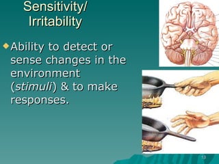 K@intro biology | PPT