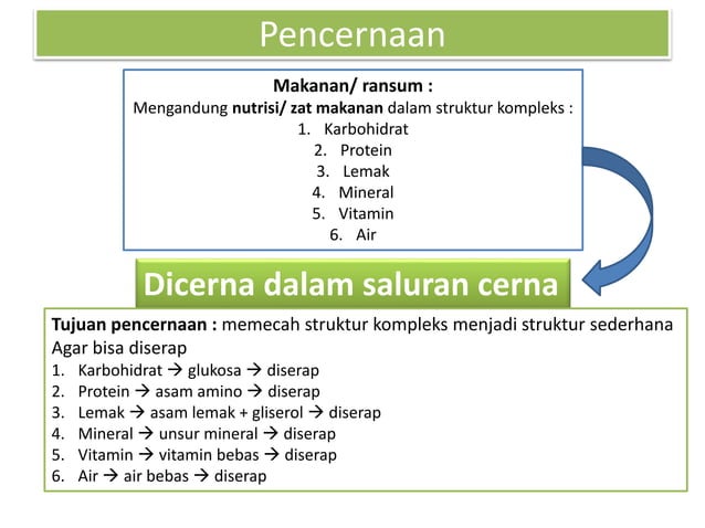 Sistem pencernaan ruminansia | PPSX
