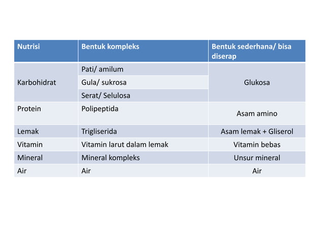 Sistem pencernaan ruminansia | PPSX