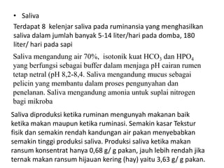 Sistem pencernaan ruminansia | PPSX