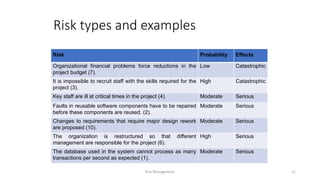 Risk Management | PPTX | Databases | Computer Software and Applications