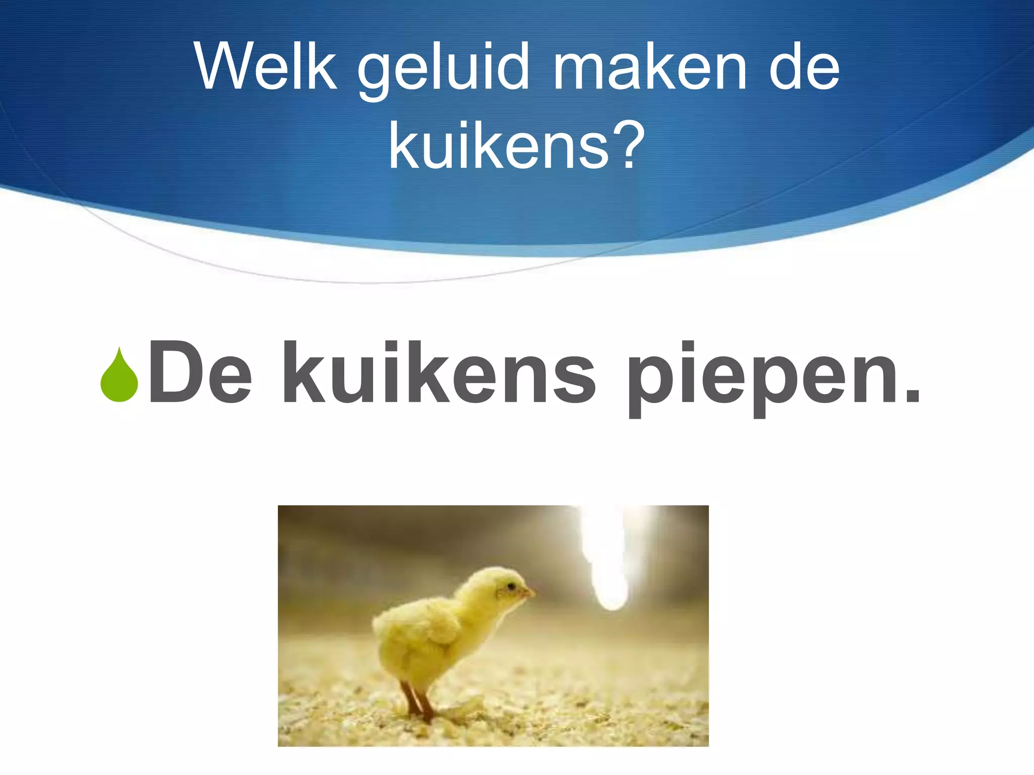 Kip ei | PPT | Free Download