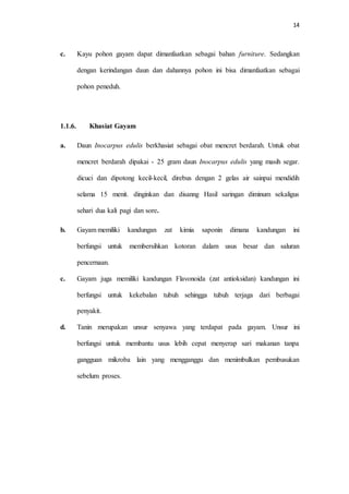 Pemanfaatan Buah Gayam (Inocarpus edulis) untuk Dijadikan Tepung ...