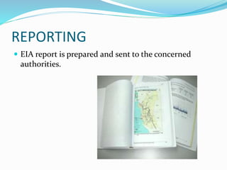 environmental impact assessment(919857132323)Kira 3 | PPT