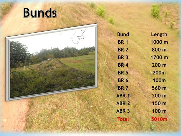 Kirala kalea scheme | PPT