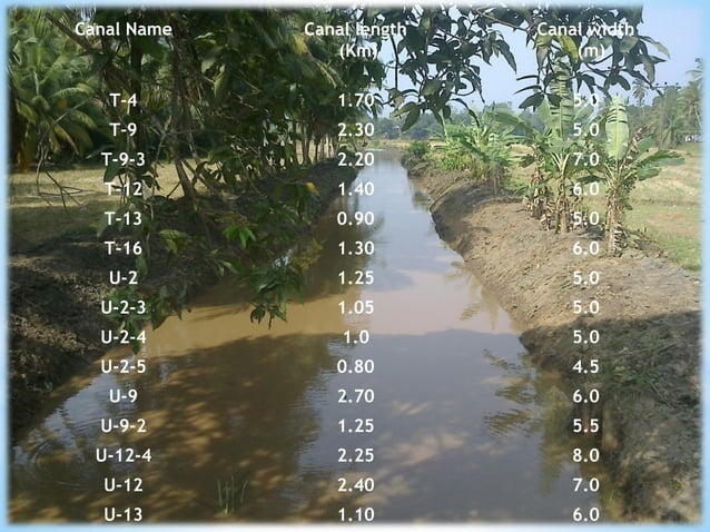 Kirala kalea scheme | PPT