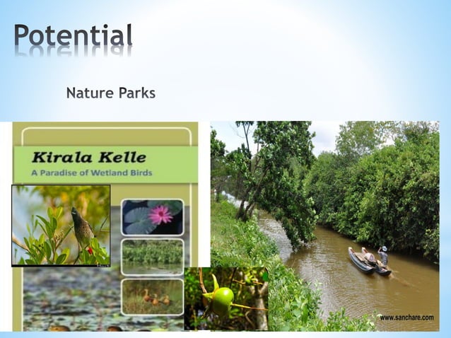 Kirala kalea scheme | PPT