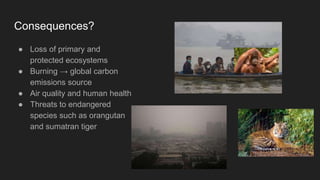 ECOSTRESS | PPT