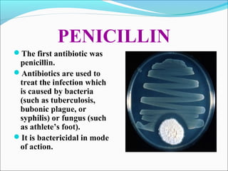 Antibiotics | PPT