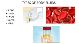 forensic analysis of serological evidences | PPT