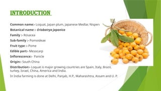 Loqut 2250000 ppt .p ptx | PPT