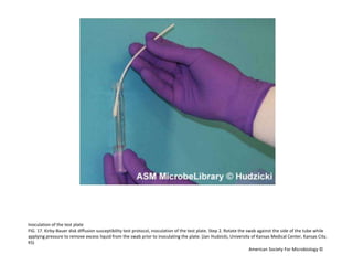 KIRBY-BAUER-DISK-DIFFUSION-SUSCEPTIBILITY-TEST.pptx