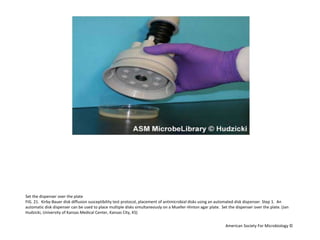 KIRBY-BAUER-DISK-DIFFUSION-SUSCEPTIBILITY-TEST.pptx