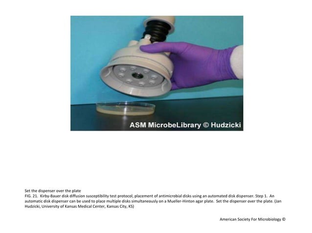 KIRBY-BAUER-DISK-DIFFUSION-SUSCEPTIBILITY-TEST.pptx