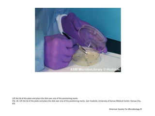 KIRBY-BAUER-DISK-DIFFUSION-SUSCEPTIBILITY-TEST.pptx