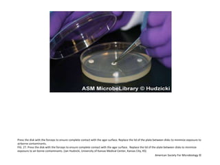 KIRBY-BAUER-DISK-DIFFUSION-SUSCEPTIBILITY-TEST.pptx