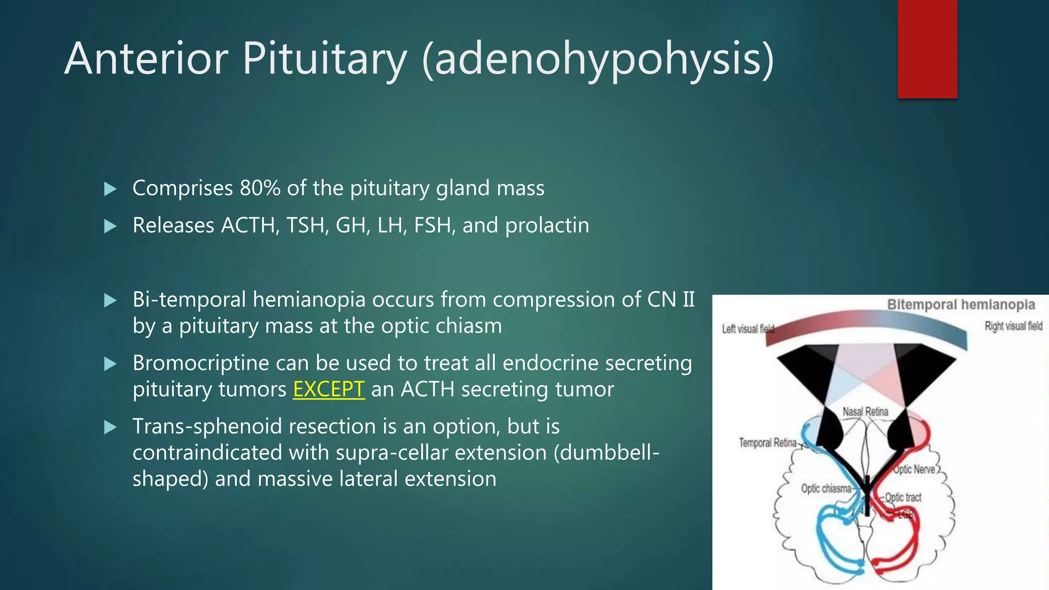 Pituitary and Adrenals ABSITE review | PPTX