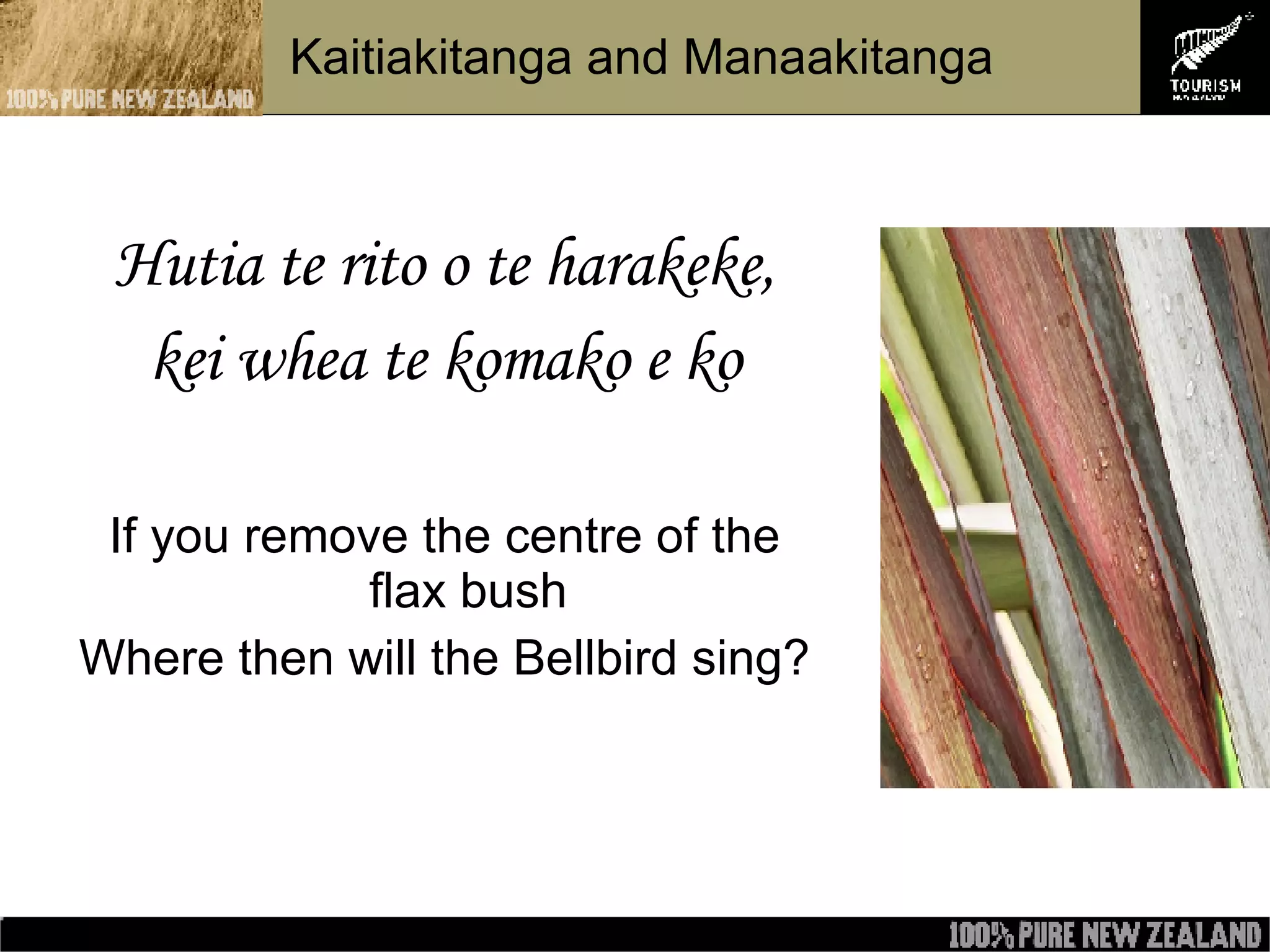 Tourism NZ presentation | PPT