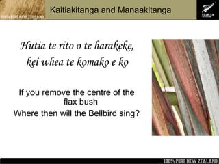 Tourism NZ presentation | PPT