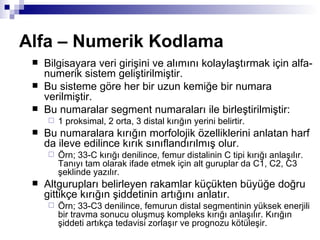 Kiriklarin siniflandirilmasi (fazlası için www.tipfakultesi.org ) | PPT