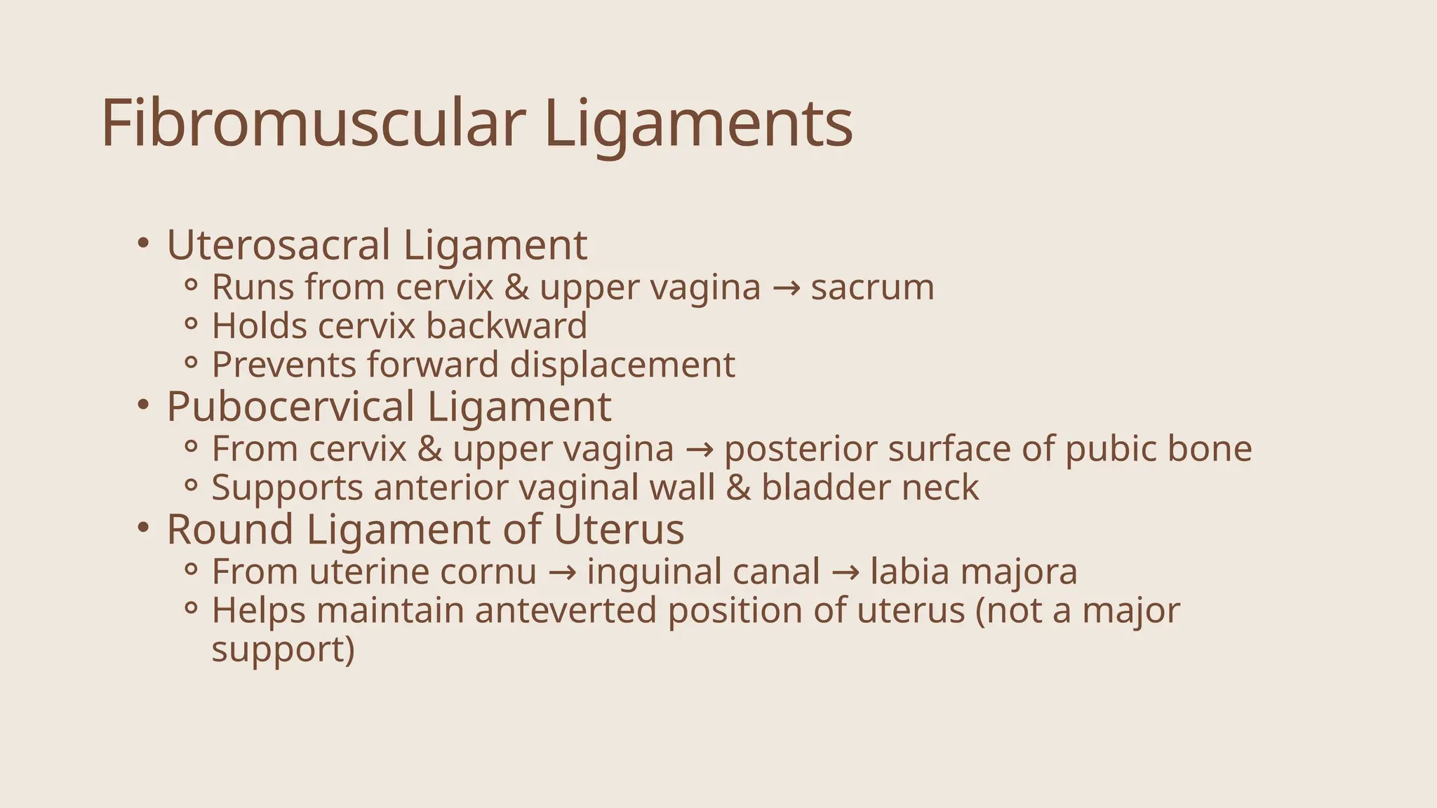 Anatomy of uterus Supports of uterus in obg | PPTX