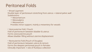 Anatomy of uterus Supports of uterus in obg | PPTX