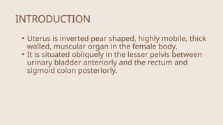 Anatomy of uterus Supports of uterus in obg | PPTX