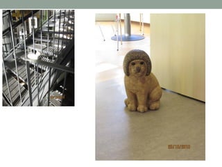 Suomalaisia kirjastoja - Finnish libraries | PDF