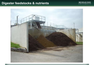 Valuing Feedstocks for Anaerobic Digestion – Balancing Energy Potential ...