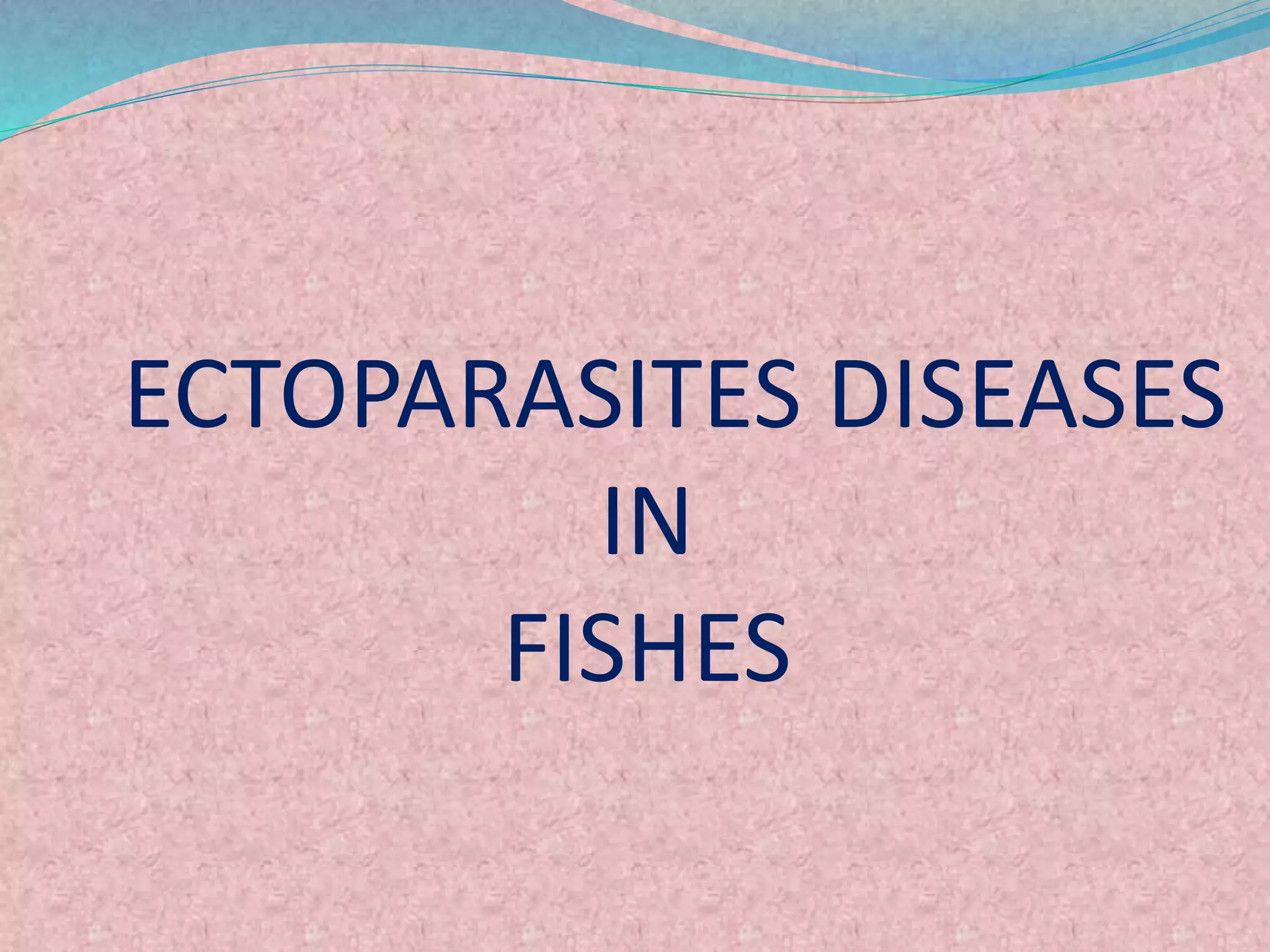 ectoparasites disease in fish | PPTX