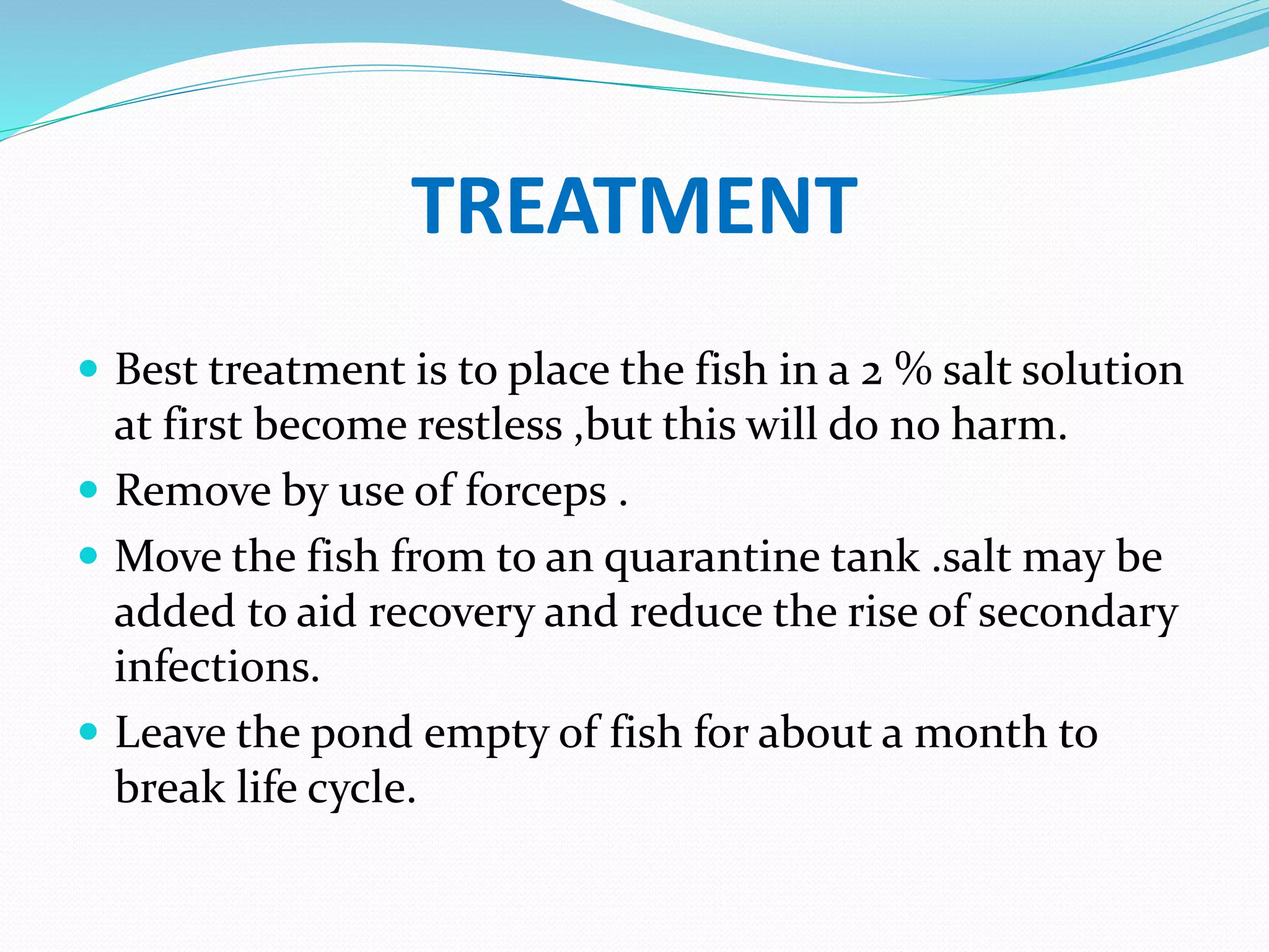ectoparasites disease in fish | PPTX