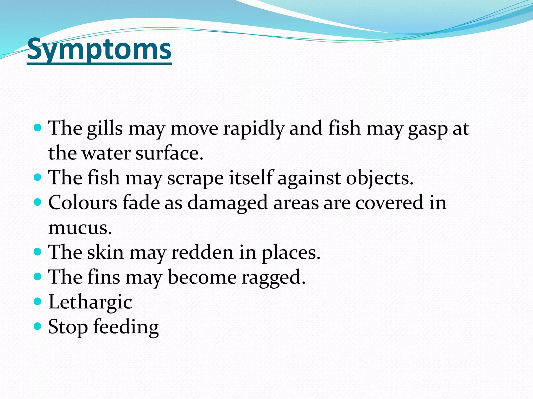 ectoparasites disease in fish | PPTX