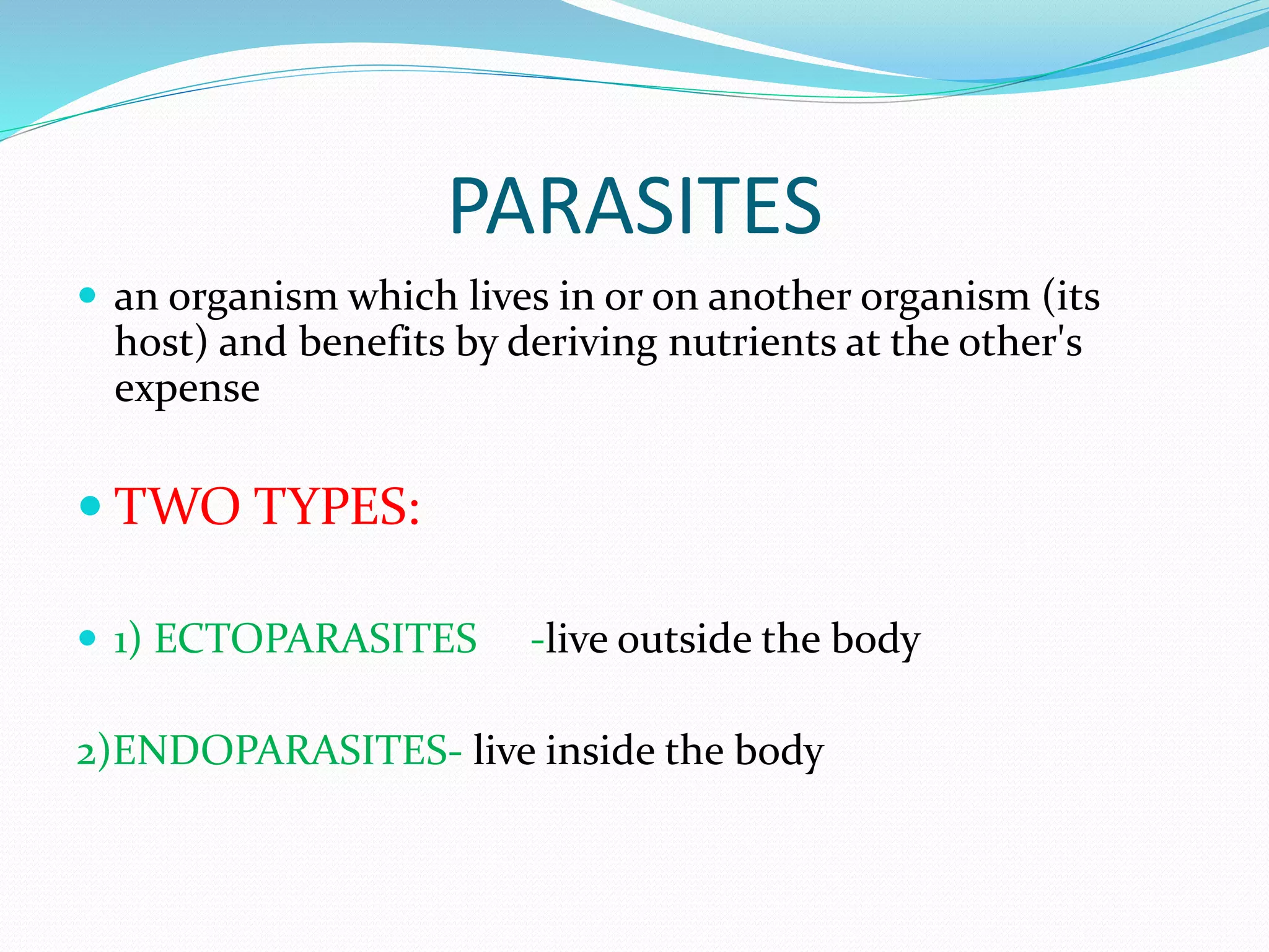 ectoparasites disease in fish | PPTX