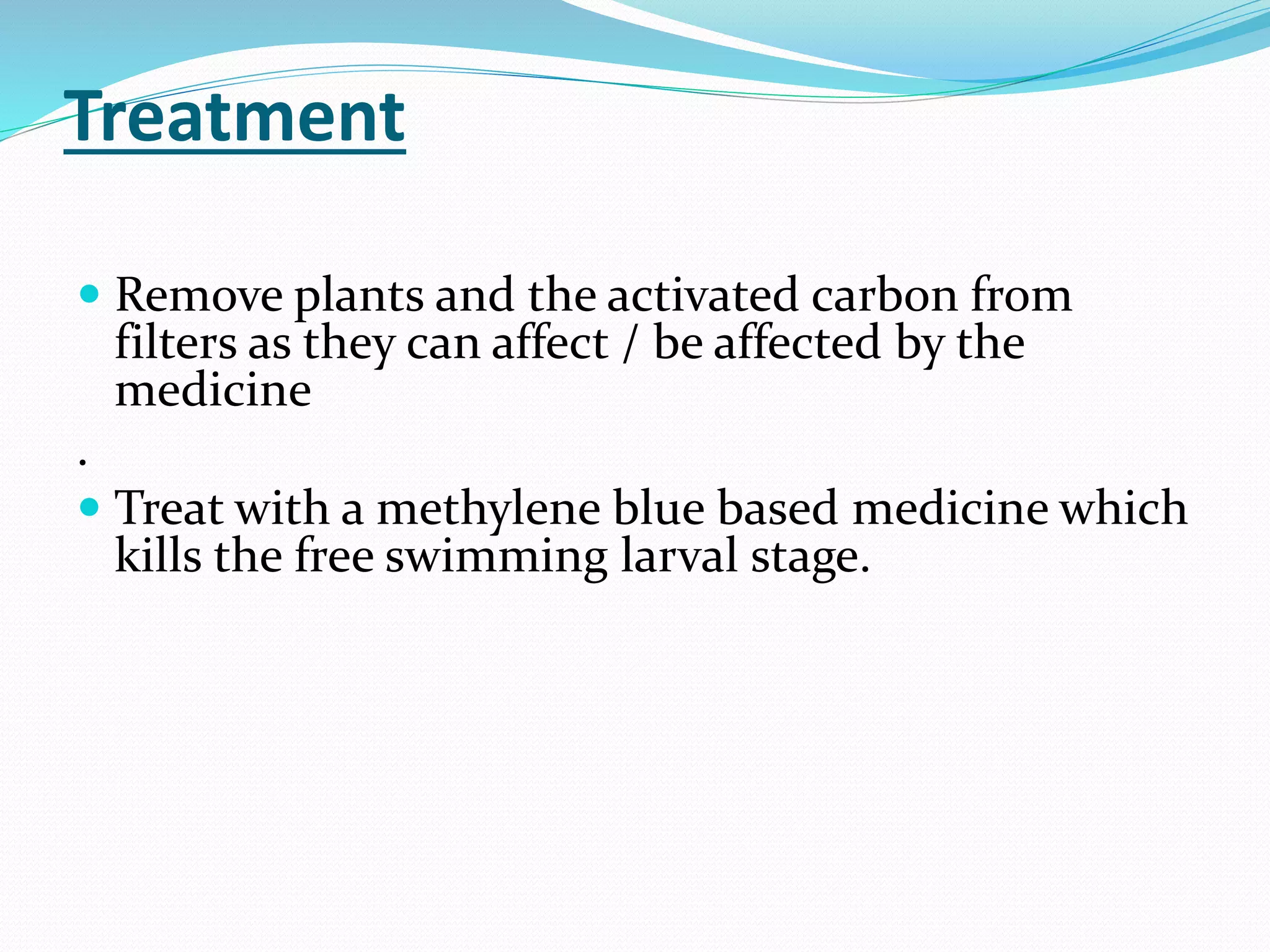ectoparasites disease in fish | PPTX