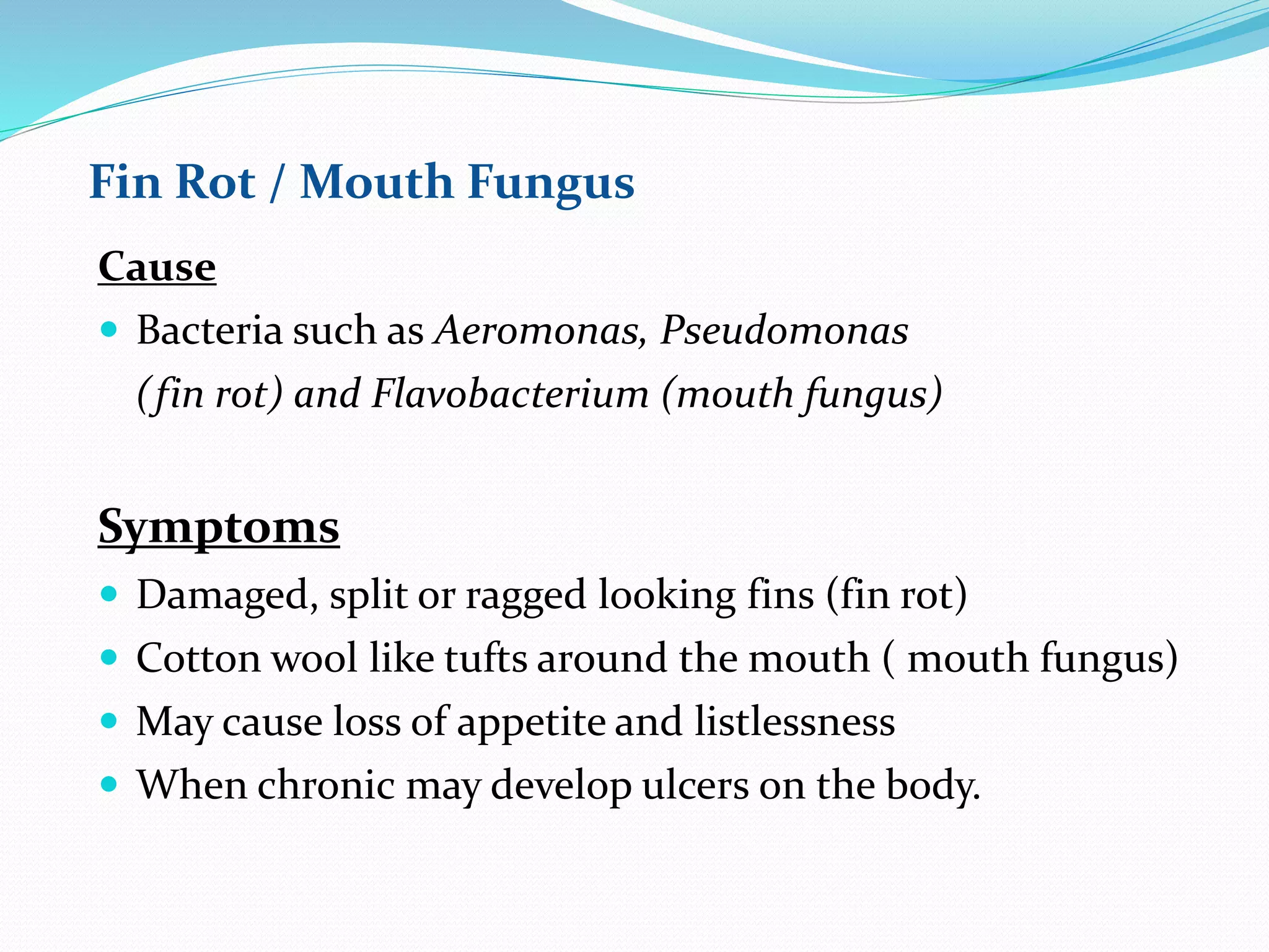 ectoparasites disease in fish | PPTX