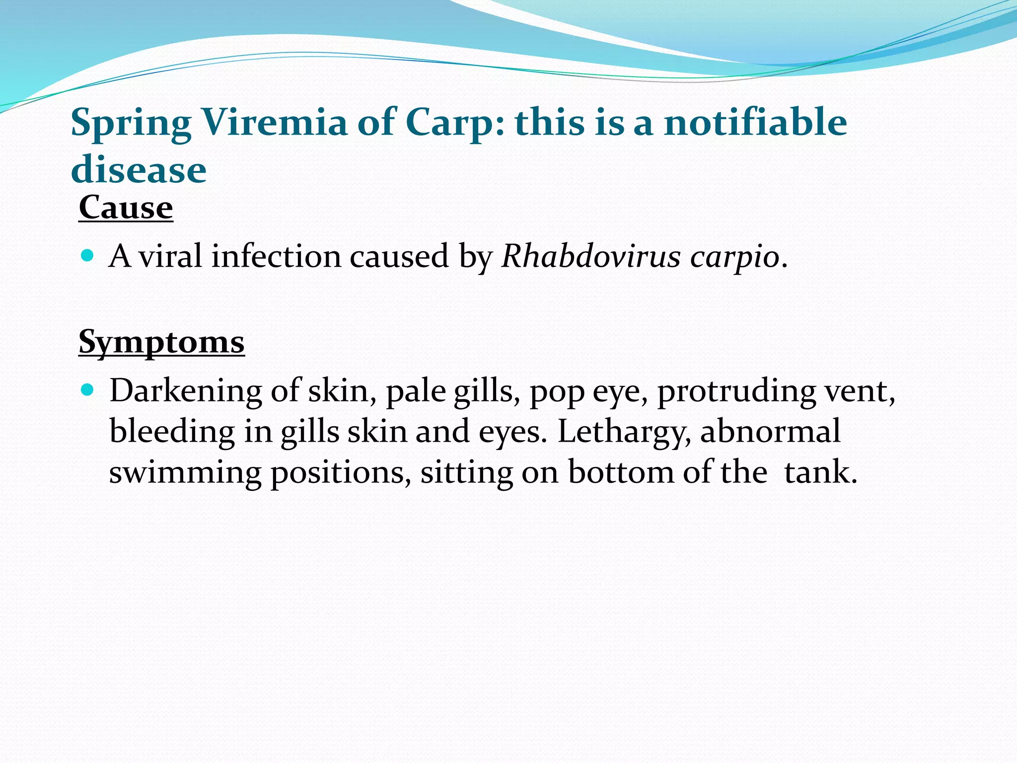 ectoparasites disease in fish | PPTX