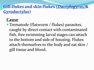 ectoparasites disease in fish | PPTX