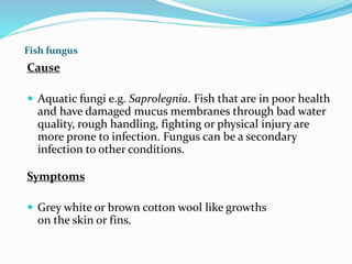 ectoparasites disease in fish | PPTX