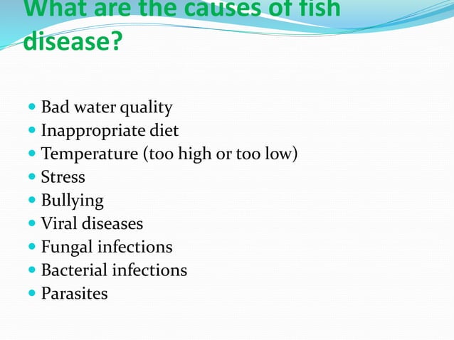 ectoparasites disease in fish | PPTX
