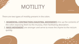 SLIDING FILAMENT THEORY MUSCLE CONTRACTION.pptx