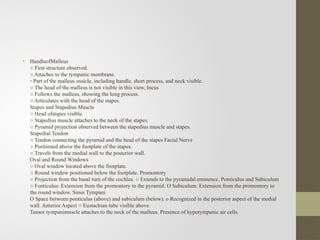 ANATOMY OF MIDDLE EAR CLEFT ms ent pg level.pptx